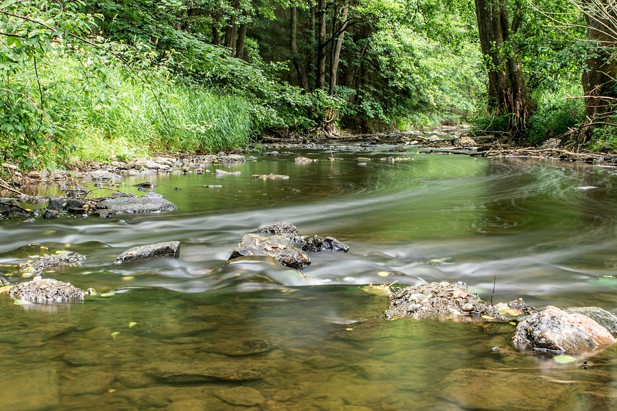 LA SALINIZACIÓN DE LOS ECOSISTEMAS DE RÍOS Y LAGOS - SANIPUBLIC S.A.S